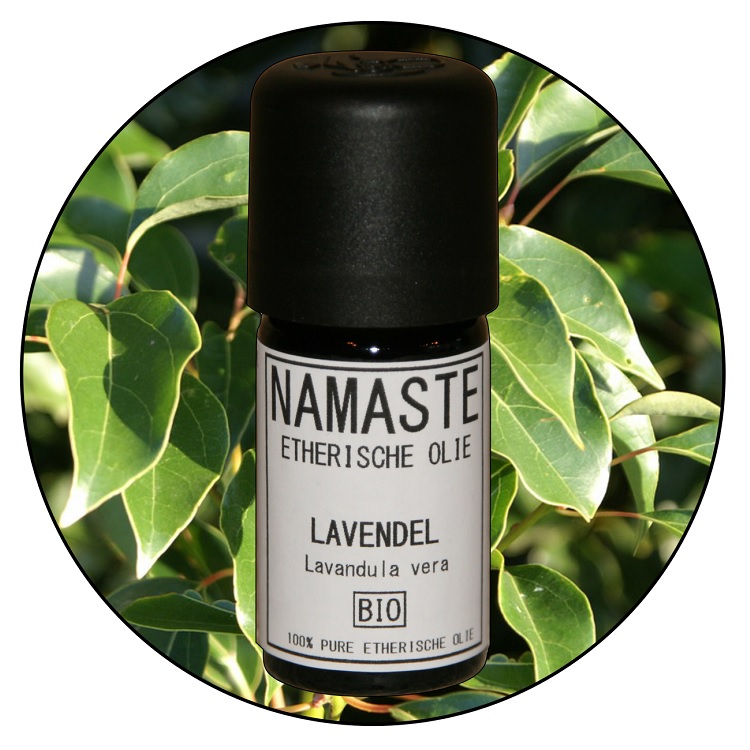 Kamfer (Wild) | Enkelvoudige oliën | Namaste Etherische Olien | Namaste ...